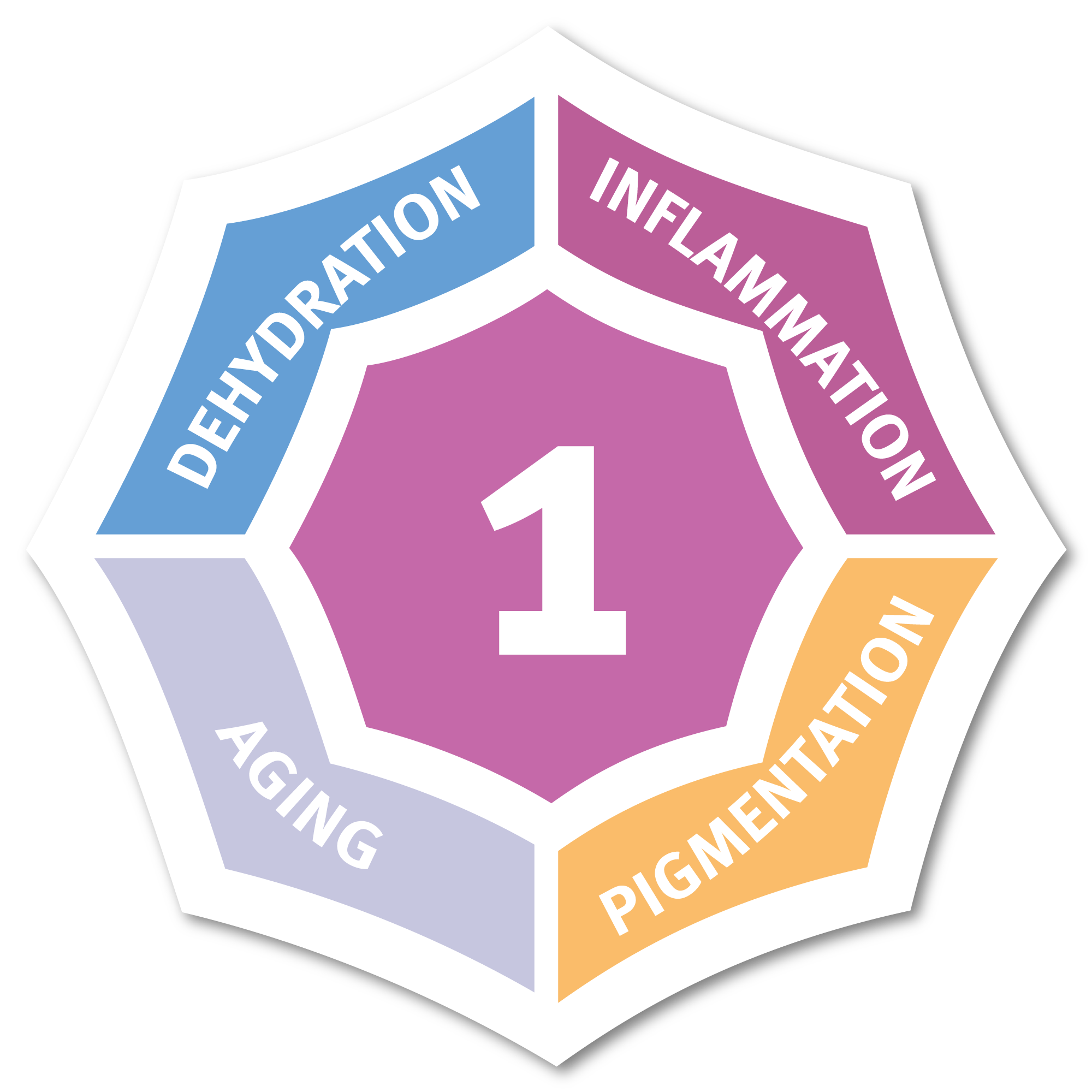 DSPT – Baumann Skin Types