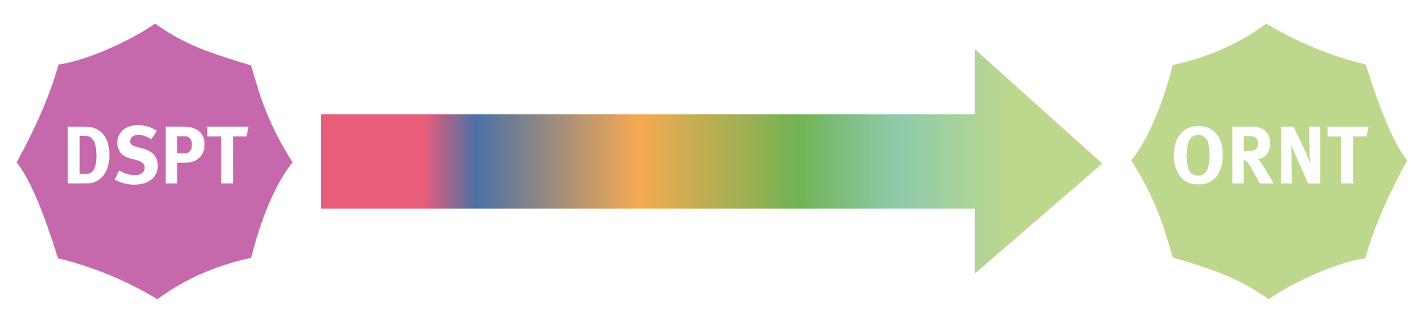 DSPT – Baumann Skin Types
